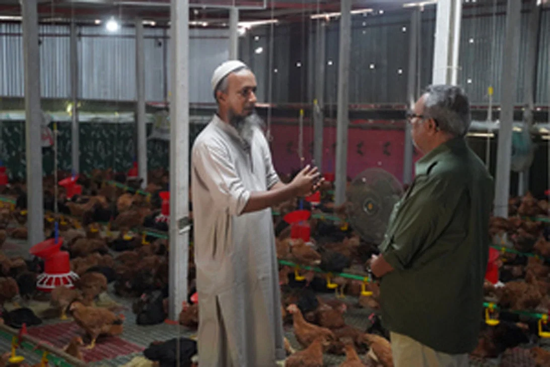 Imrul’s Antibiotic-free Amart Poultry Farm (Shykh Seraj) | Organik Chicken